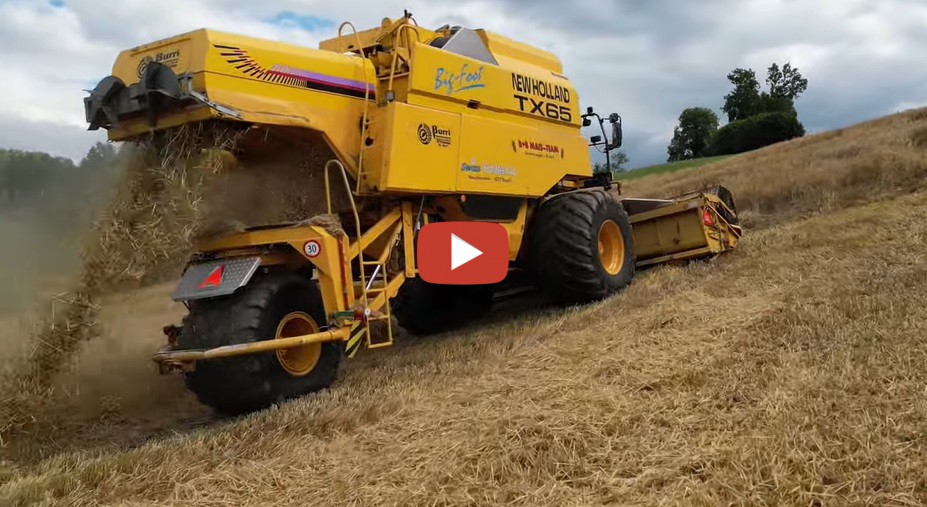 Something special -Three-wheel combine harvester threshing barley on ...