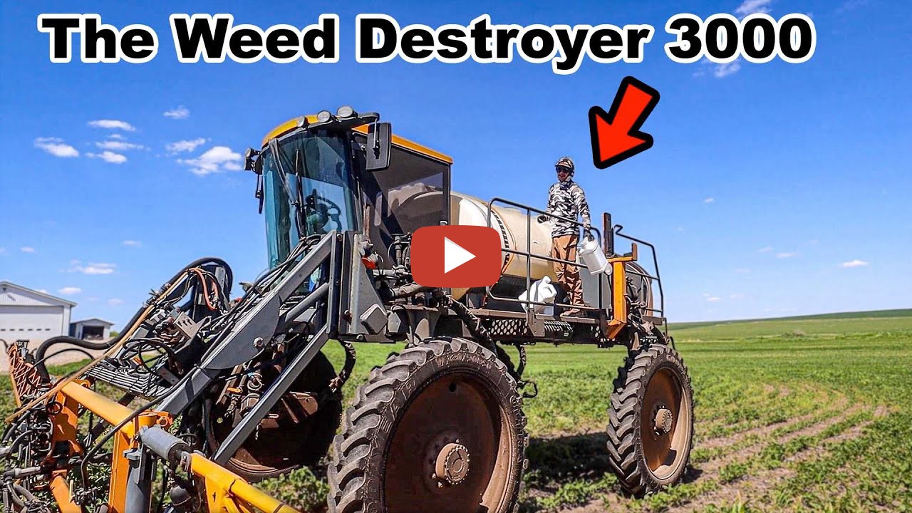 Cole The Corn......Weeds Vs. The Weed Destroyer 3000. Who will claim ...