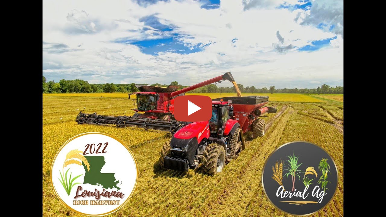 Kicking Off 2022 Louisiana Rice Harvest. Costanza Farms operating a ...