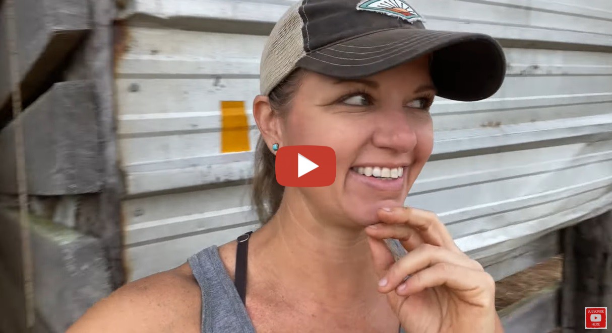 This Farm Wife - Meredith Bernard - When you think you're done with ...