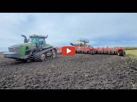 Mike Mitchell -- Officially done seeding 2022 - So it seems like it's ...