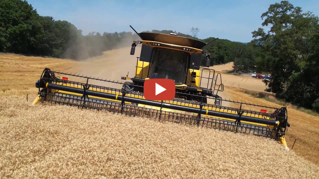 Burkholder Family Farms 2022 Wheat Harvest with a New Holland CR8.90 ...