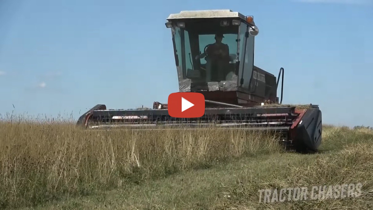 2022 Hay mowing with a Hesston 8200 self propelled hay mower. This is ...