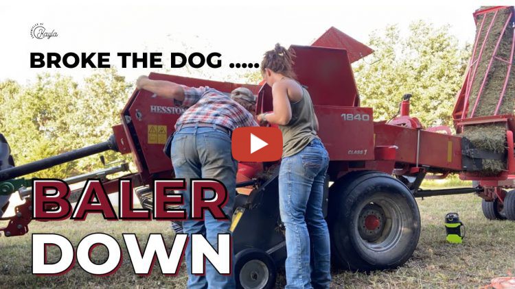 Chronicles of Kayla Wieczorek -- HELP !!! the MASSEY is DOWN ...