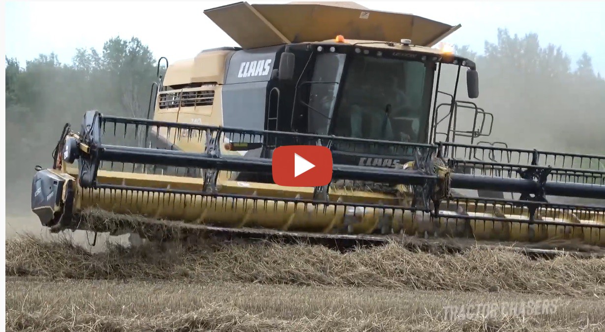 2022 Claas Lexion 740 on tracks harvesting wheat in northern New York ...