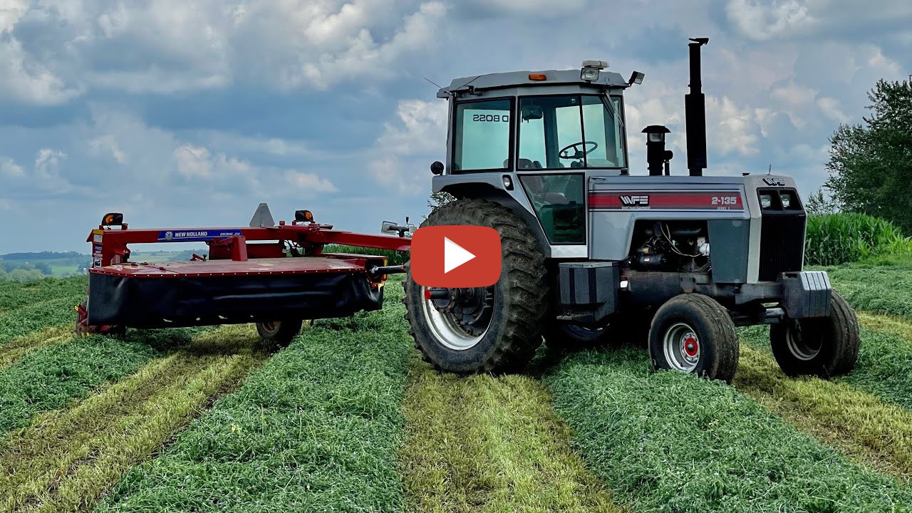 Last of the alfalfa! It’s a thick second crop! Mowing and Chopping with White Tractors ...