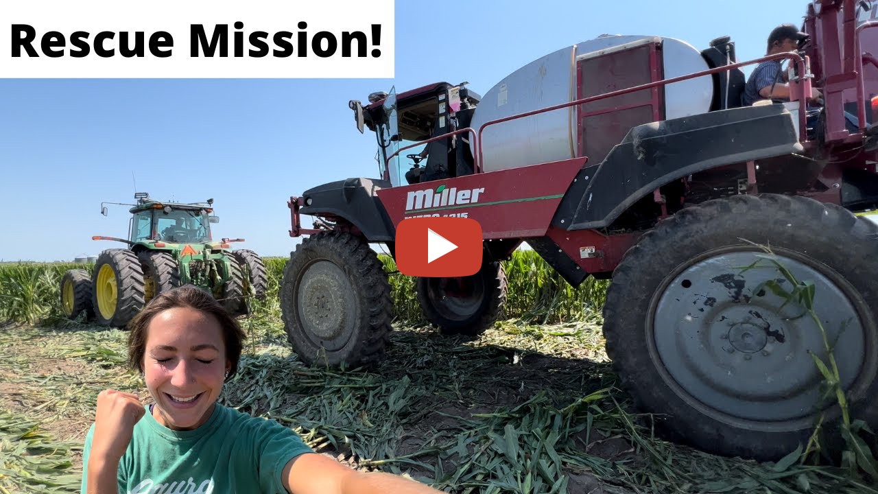 Laura Farms -- An Uncomfortable Amount of Chains. Rescue Missions ...