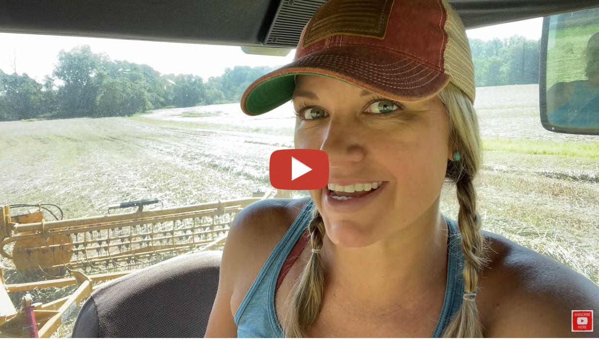 This Farm Wife - Meredith Bernard - It's a wrap! Sudan hay is raked ...