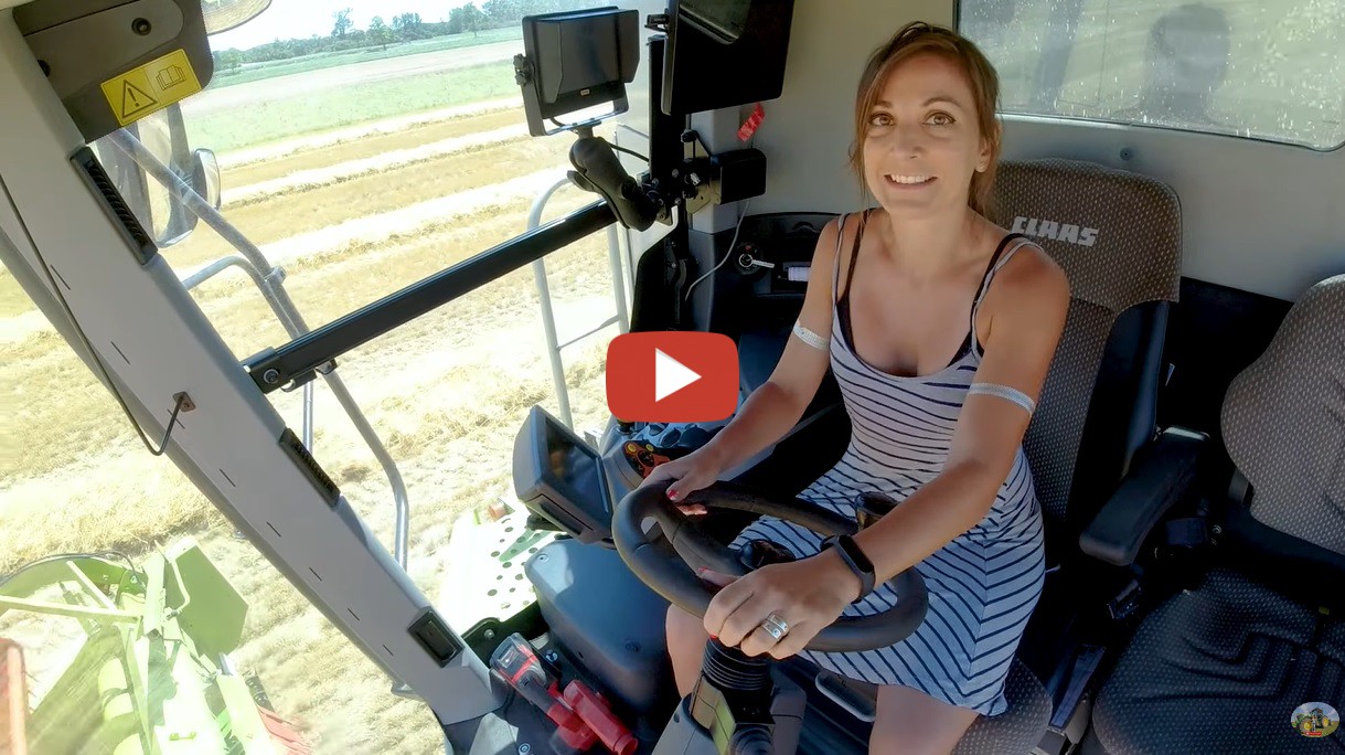 Farmer girl Angela Steiner harvests the malting barley 2022 with the ...