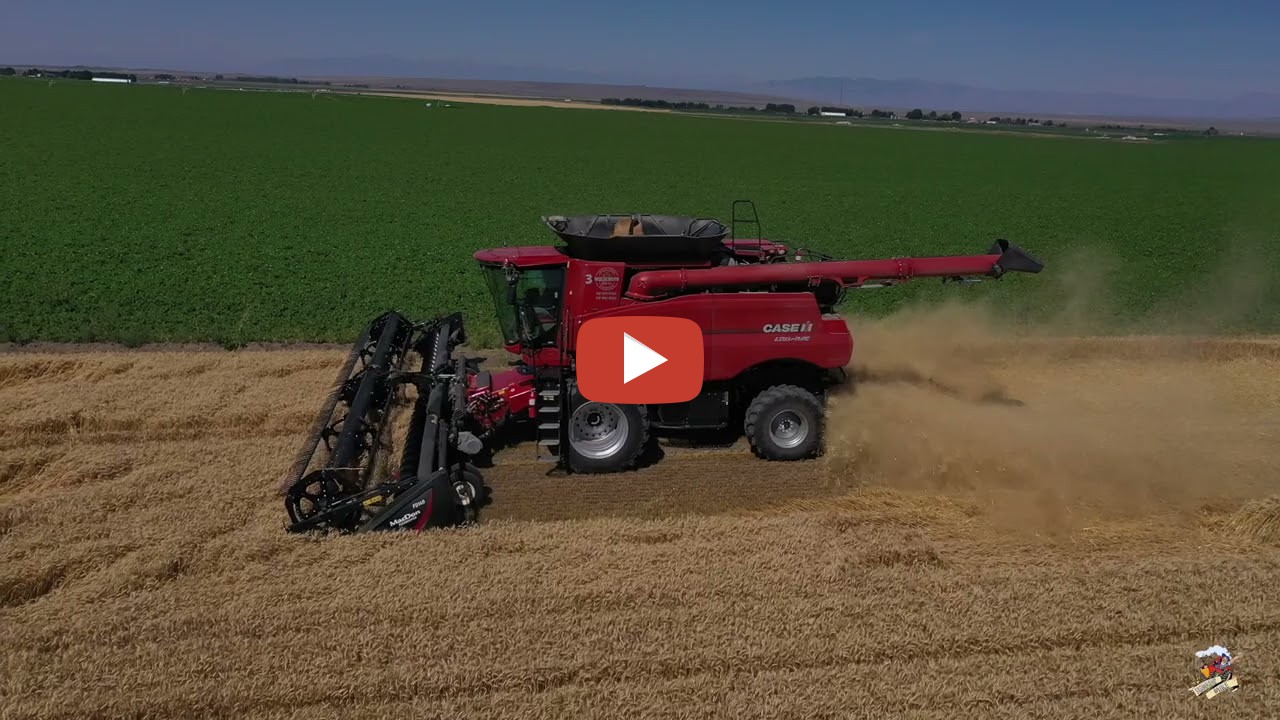 Mike Less - Farmhand Mike -- 2022 Harvesting Wheat near Hamer Idaho ...