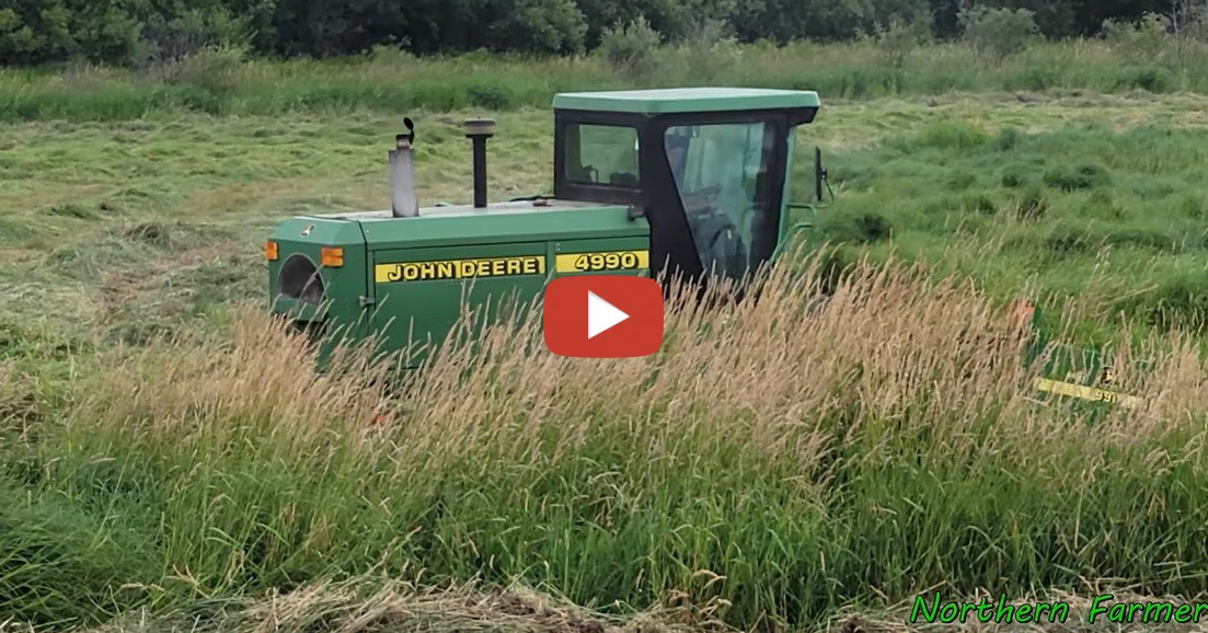 Cutting Monster 7 Foot High Hay!!!!!! Using a Case ih tractor and moco ...