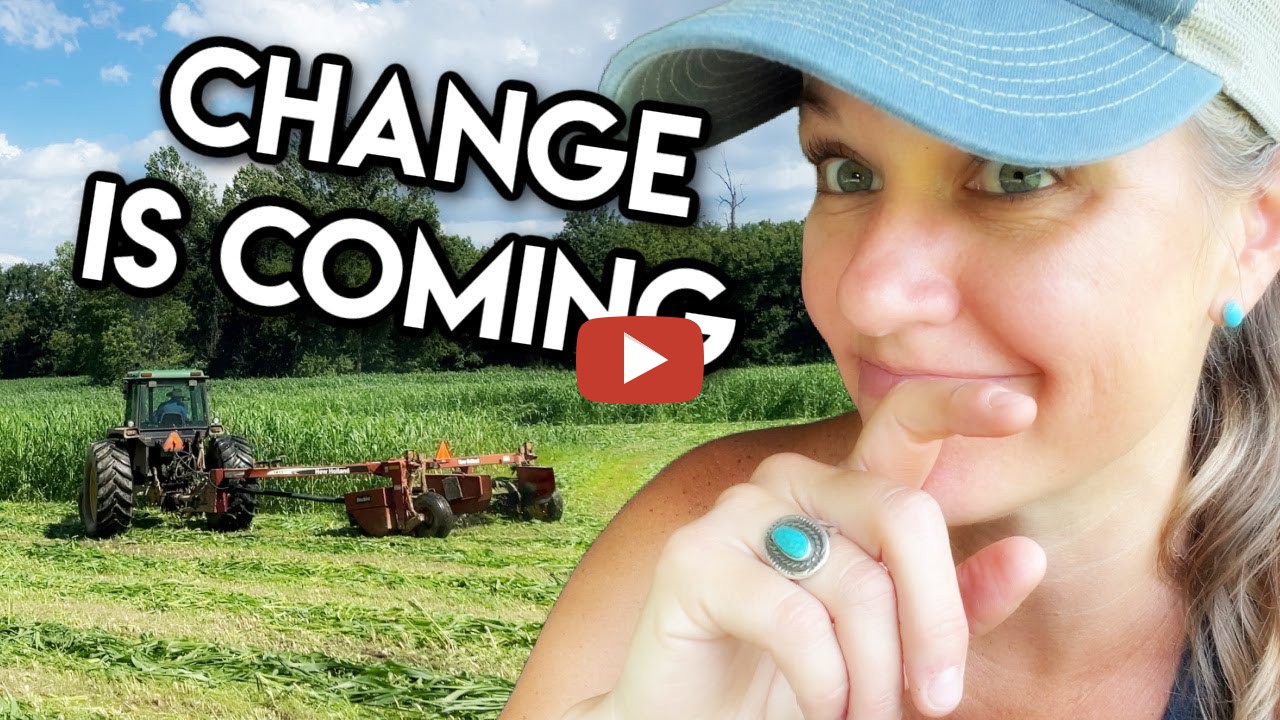 This Farm Wife - Meredith Bernard -- Preparing For A Change! Sorghum ...