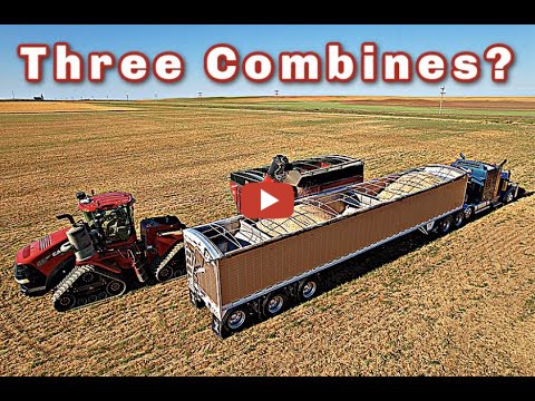 THREE Case ih combines - The crew finishes up pea harvest and moves ...