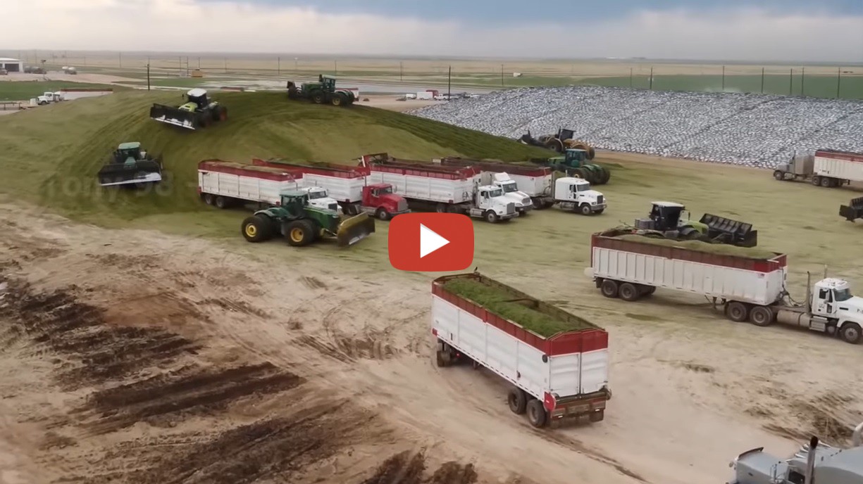 2022 Today we are going to a corn farm in the US state of Texas to see ...