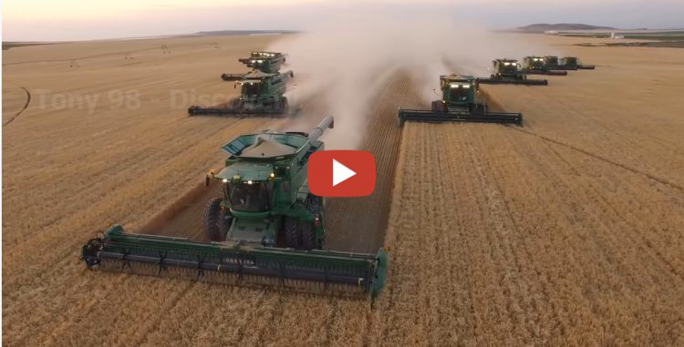 We are going to the vast wheat fields in America and Canada to see how ...