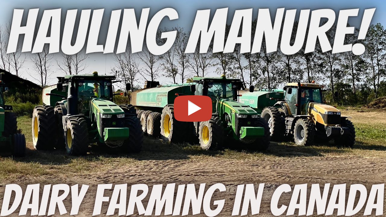 John Deere, Case ih and Challenger Tractors Make Quick Work Of This ...