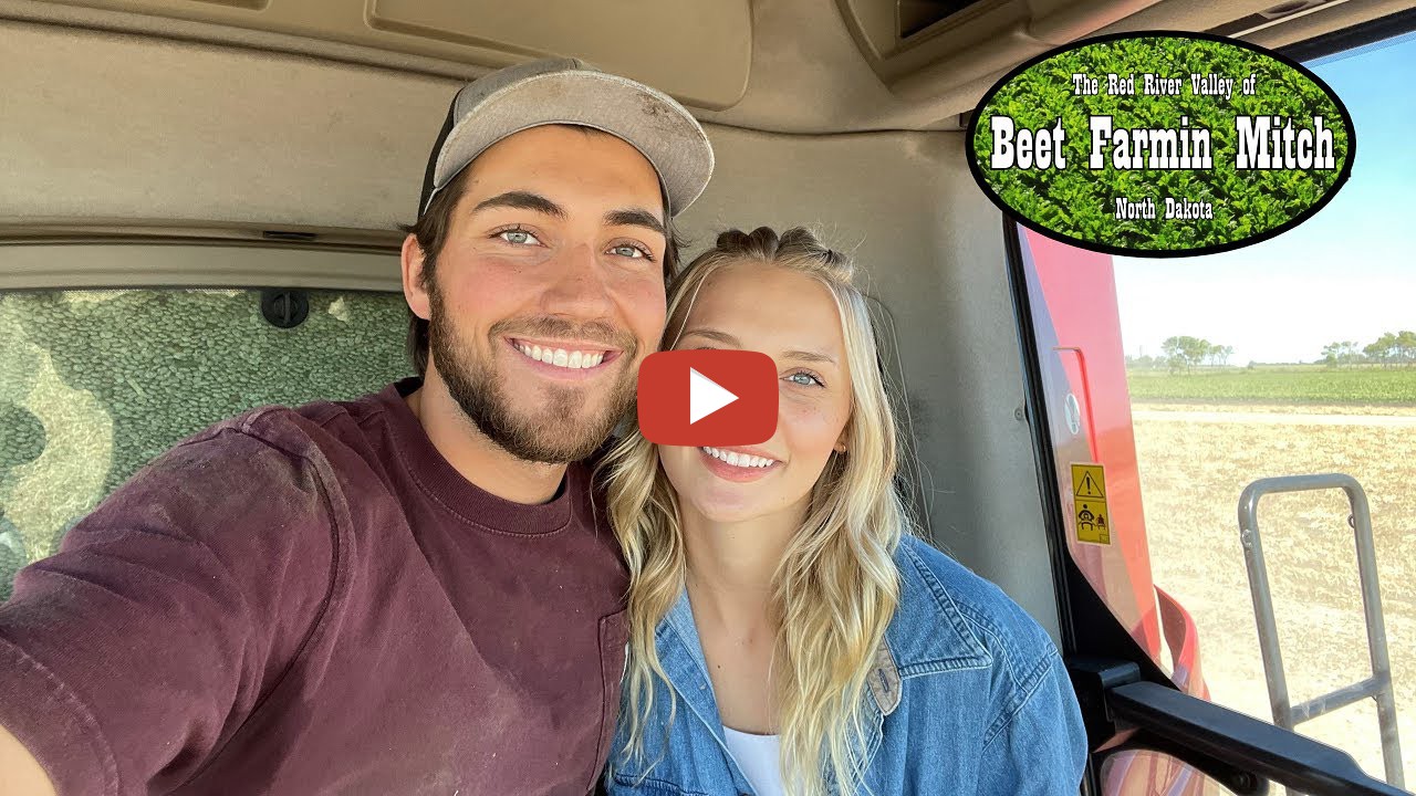 Pinto Bean Harvest with Jenny Girl -- Pinto bean harvest is here! Or as ...