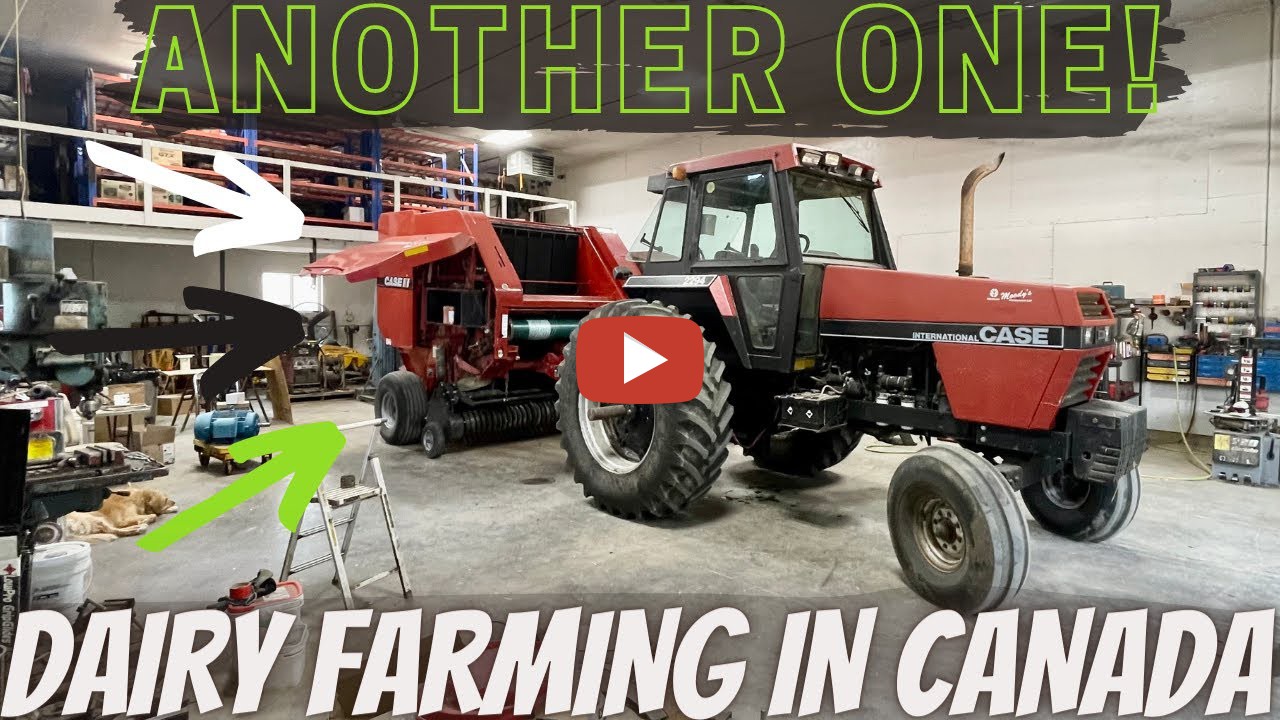 SaskDutch Kid --We Had to Buy a Second One! Case ih RB 564 roundbaler