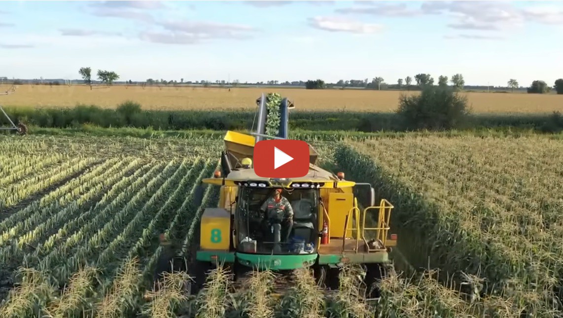 Tony 98 - Discovery --We are going to sweet corn farms in the United ...