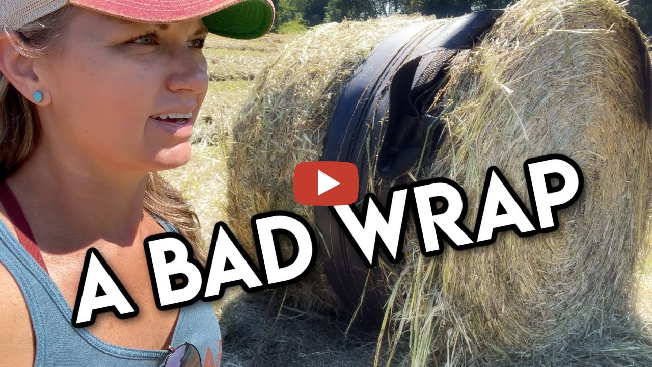 This Farm Wife - Meredith Bernard -- We ALMOST made it...How did the ...