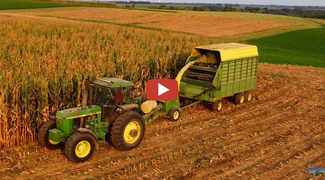 iowadairyboys -- Looks to be a heck of a year for corn! Chopping Corn ...