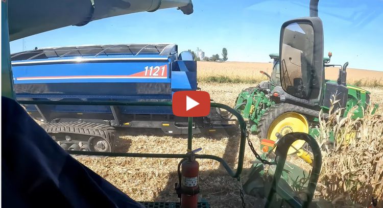 iowANFarmer -- Iowa corn harvest with the Kinzenbaw family. I got the ...