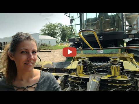 Acres of Clay Homestead -- Let's Chop CORN! - Corn Silage harvest has ...