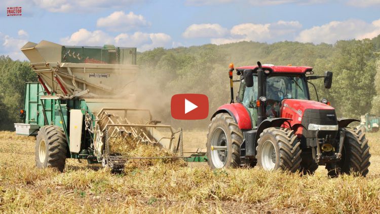 bigtractorpower 2022 - KIDNEY BEAN Combines Harvesting - In the field ...