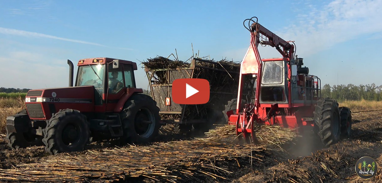 Aerial Ag -- 2022 Louisiana - Mowing and Loading Whole Stalk Cane with ...