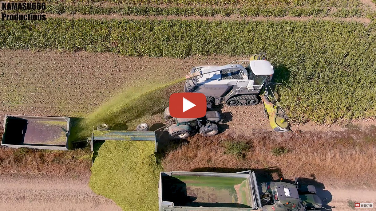 Silage trailer is blowing away......Cornsilage harvest with a Claas ...