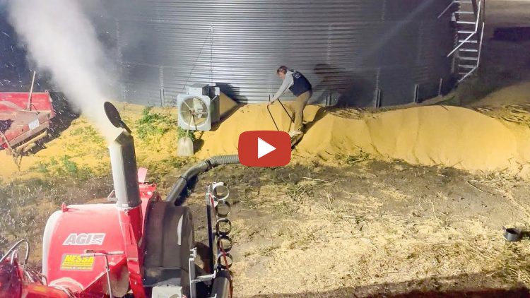 Cole The Corn....... How To Spill $30,000 On The Ground Soybeans ...