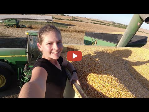 Corn Harvest on a Family Farm! - Fall Farmathon- Corn harvest with John ...
