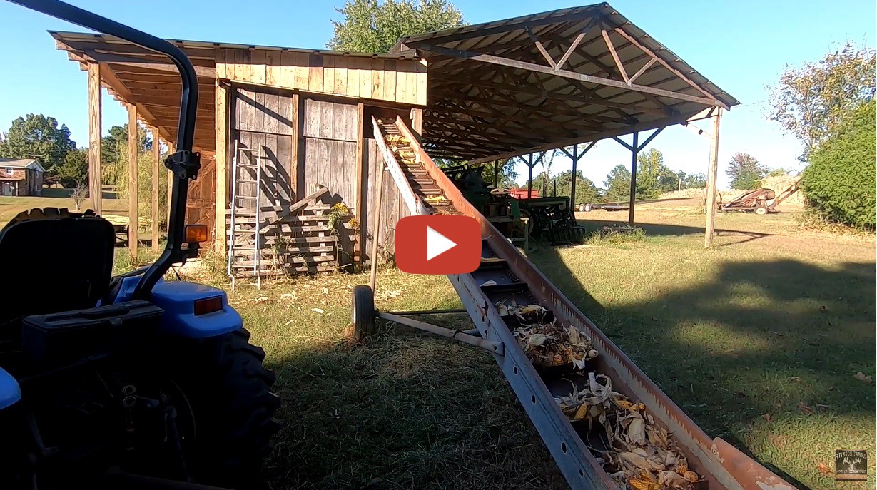 Filling the corn crip with ear corn... Getting the corn put in the crib ...