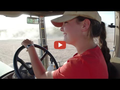 First Day of Soybean Harvest 2022! John Deere 9670 STS harvester and John Deere tractors-- Todd ...