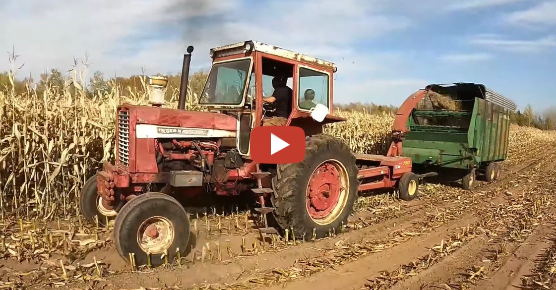 Trinity Dairy -- Chopping Corn 2022 - Filling a Bag with Corn Silage ...