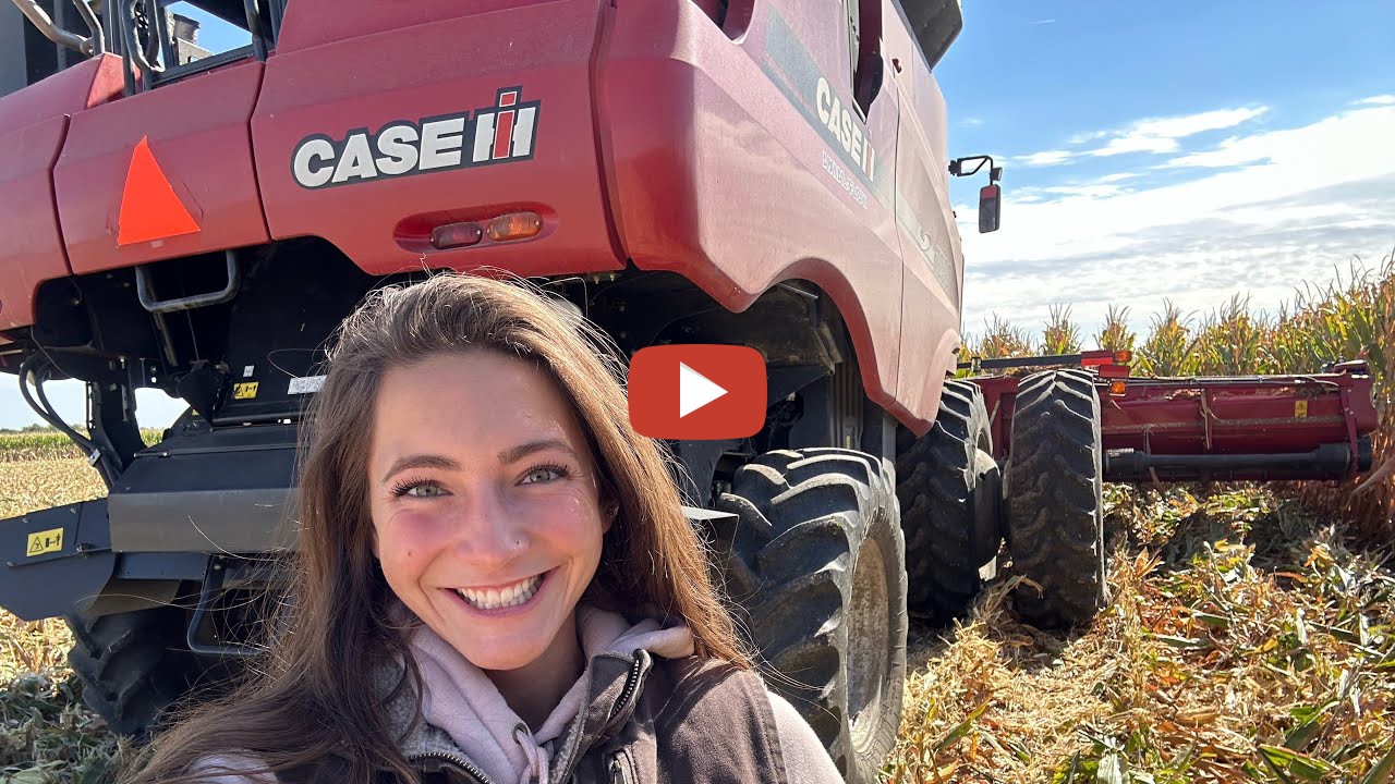 Laura Farms -- Harvest 2022 -- USA Corn Harvest Equipment with Case ih ...