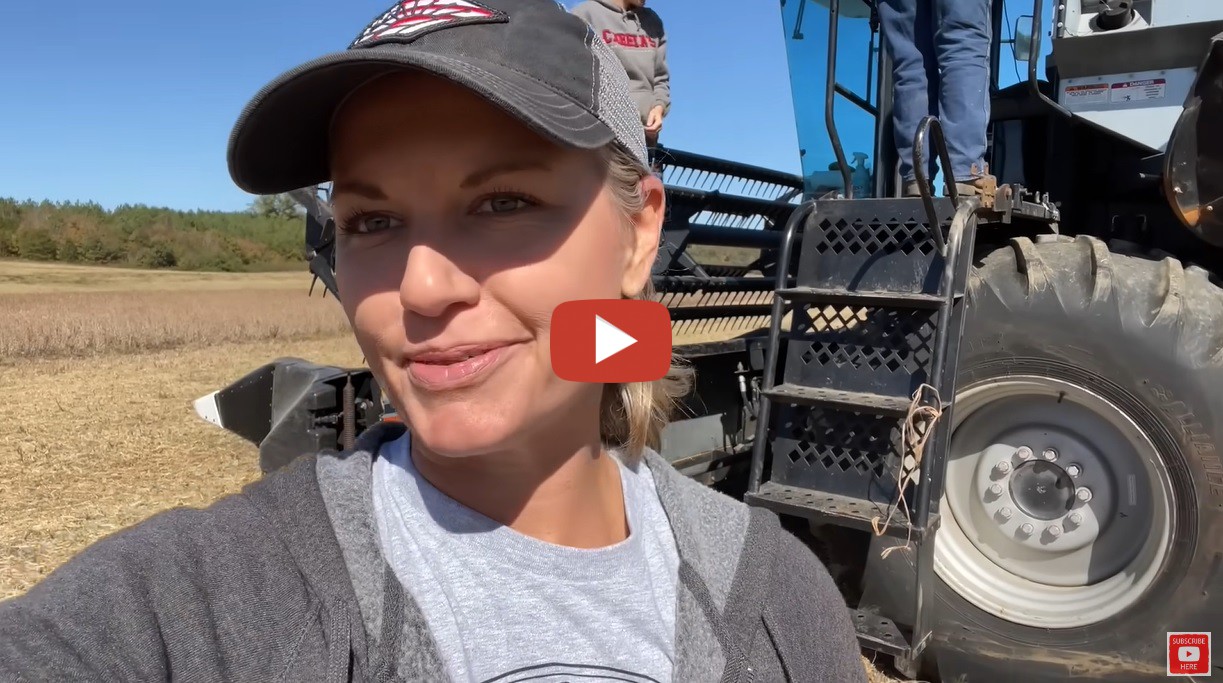 This Farm Wife - Meredith Bernard First Cut Beans with Our *New ...