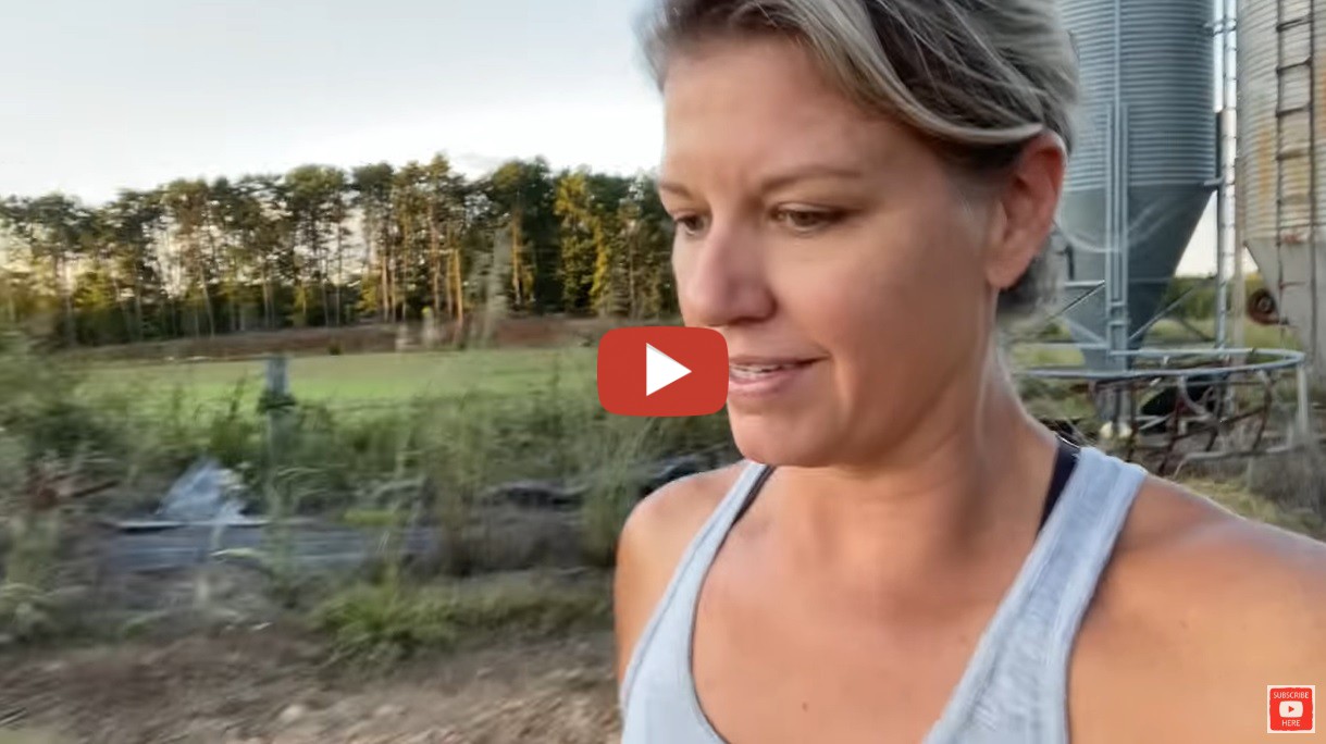 This Farm Wife - Meredith Bernard -- Calm Before the Storm.. Lots of ...