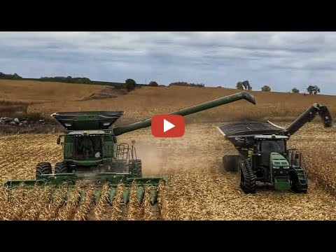 Millennial Farmer 2022 Our Easiest Corn Harvest Ever-with almost ...