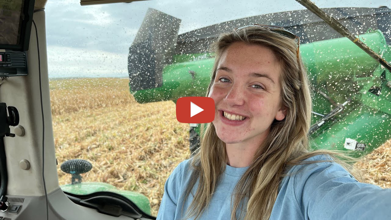 My First Time Harvesting Corn! Ag with Emma Corn harvest 2022 with John ...