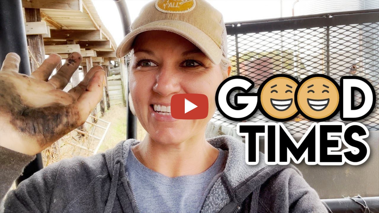 This Farm Wife - Meredith Bernard -- Character Building Day! Finally ...