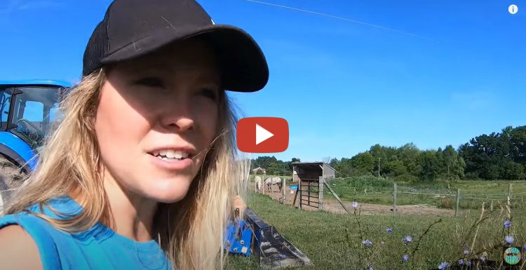WT Farm Girl Videos -- I BROKE my Hay Cutter - It was fully my fault. I ...
