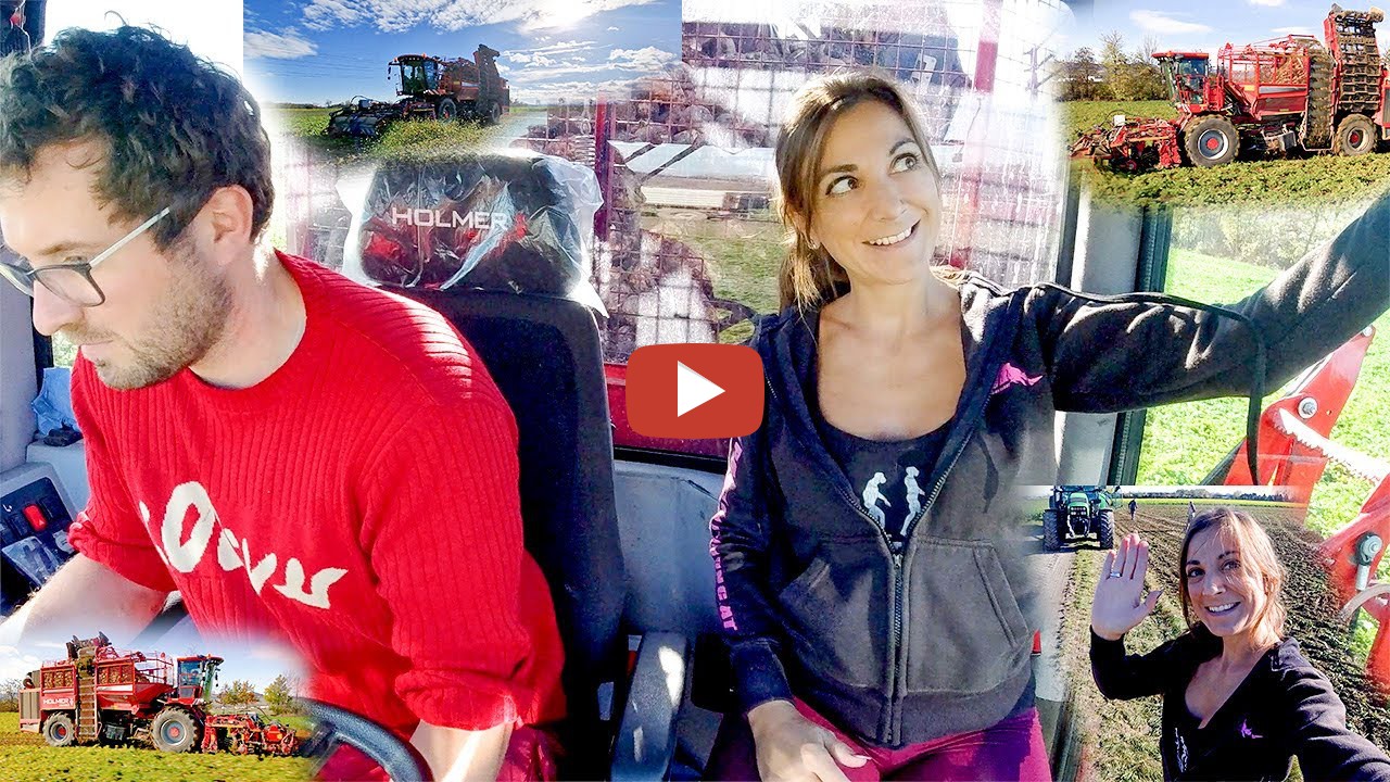 Angela Steiner -- Farmer girl with the Holmer Terra Dos harvesting ...