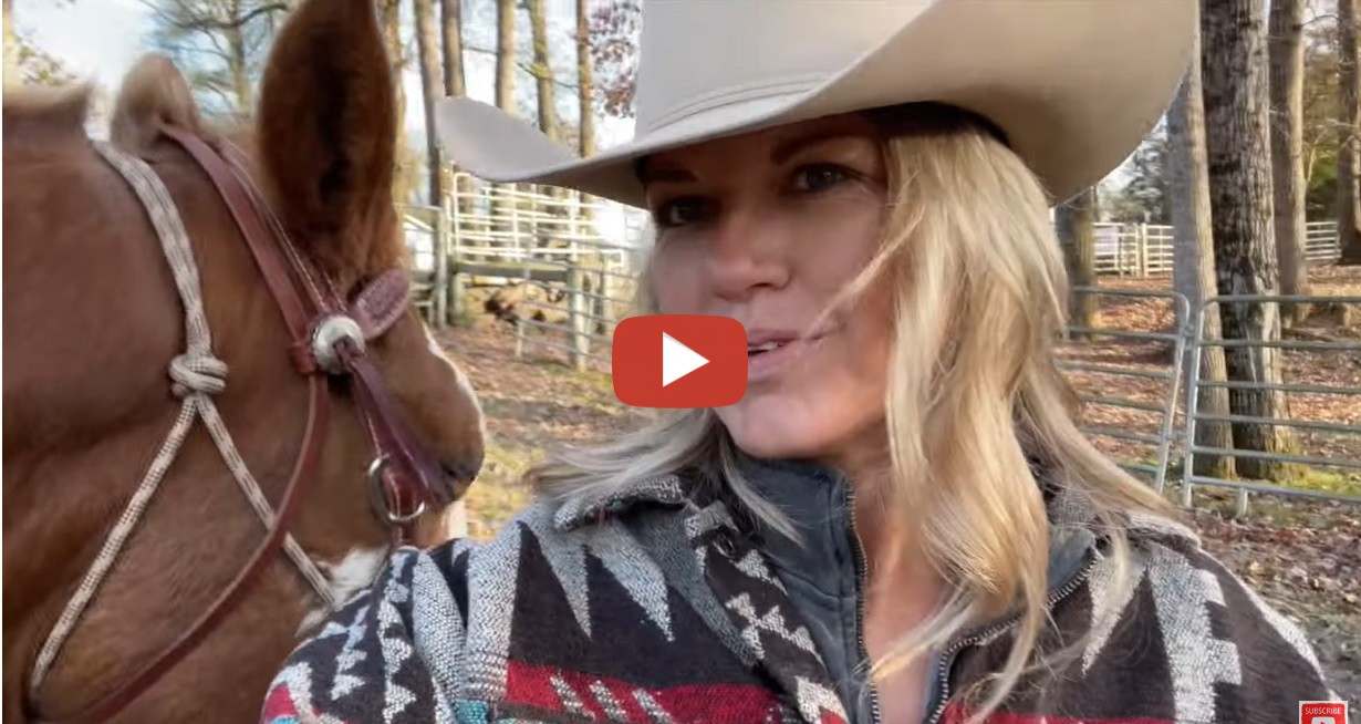 *This Farm Wife - Meredith Bernard -- A very full weekend is a wrap and ...