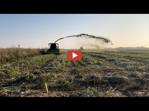 California government paying to destroy crops with Claas Jaguar 990 ...