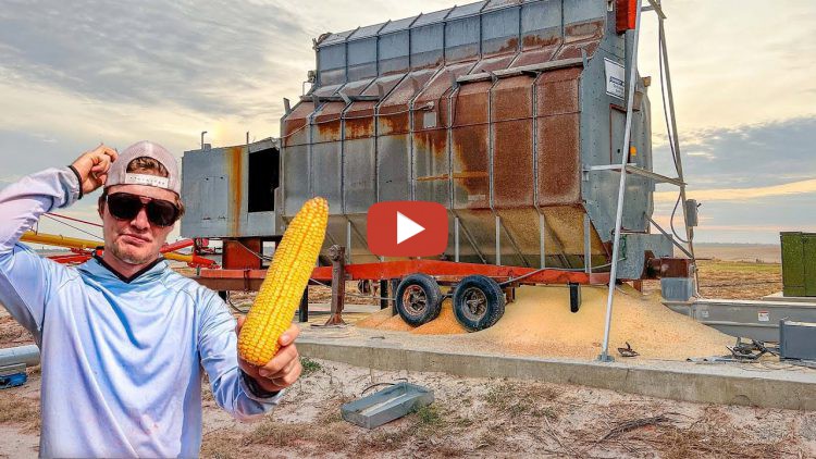 Cole The Corn........I Think We Got A Little Leak Somewhere - We are ...