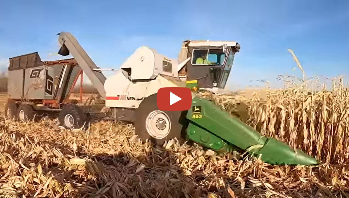 Harvest 2022 -- Picking ear corn with a 1996 New Idea UNI. Transport ...