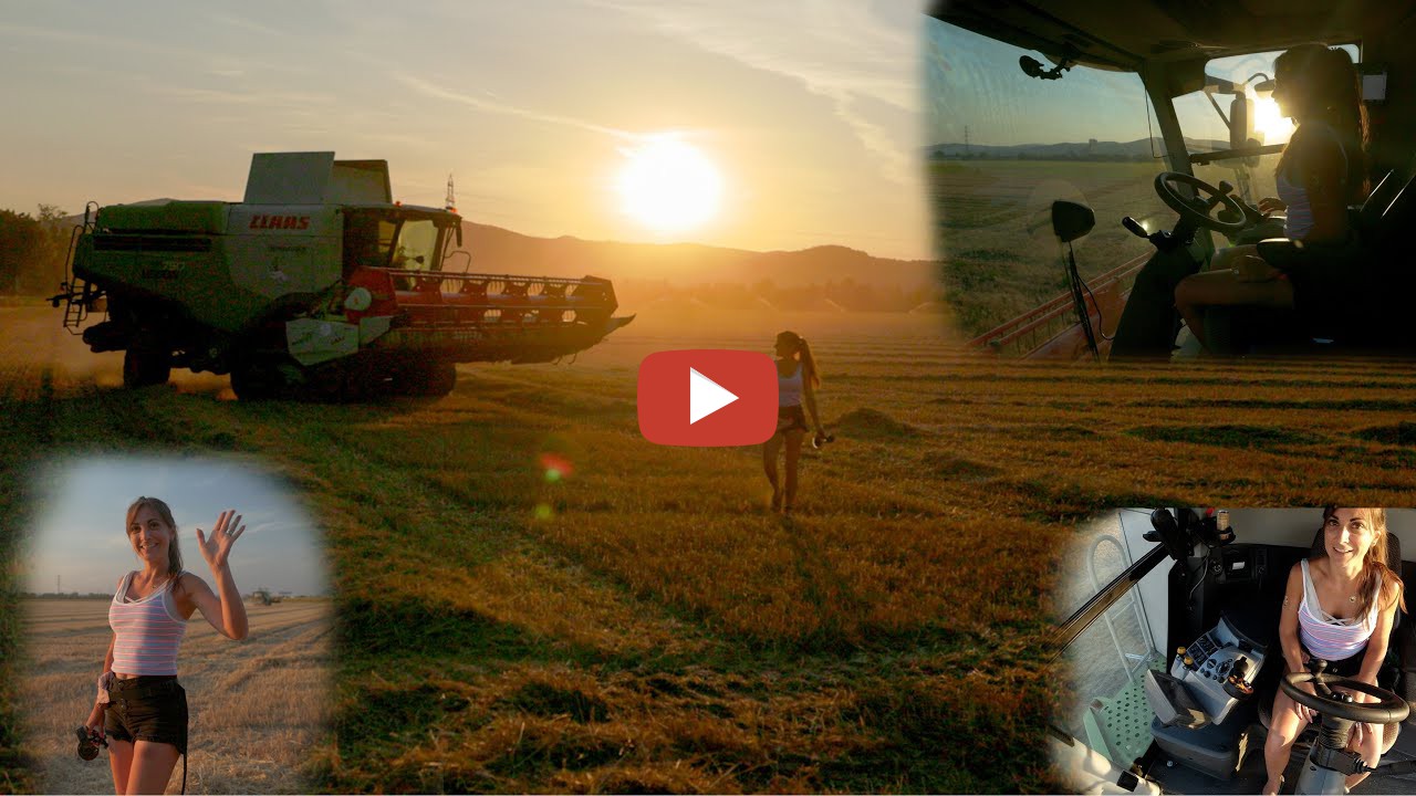 Farmer girl Angela Steiner harvests wheat 2022 with the Claas Lexion ...