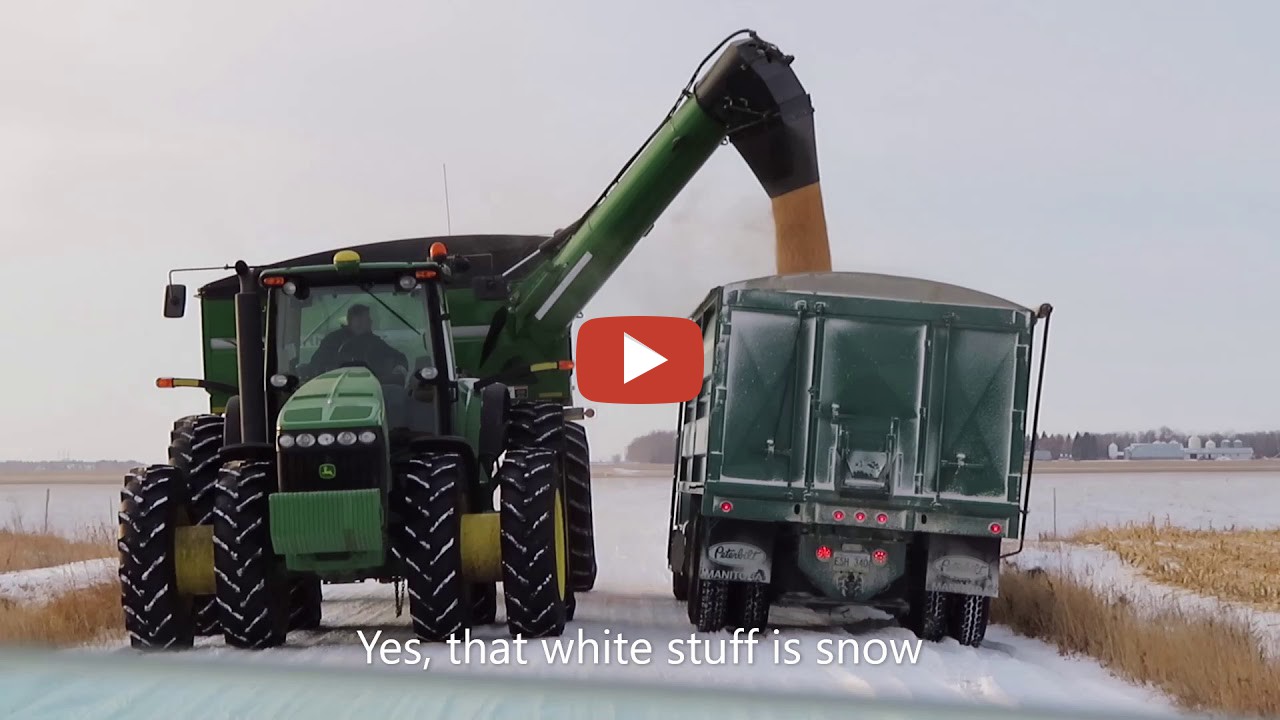 Harvesting Corn in December with a little snow on the ground for fun ...