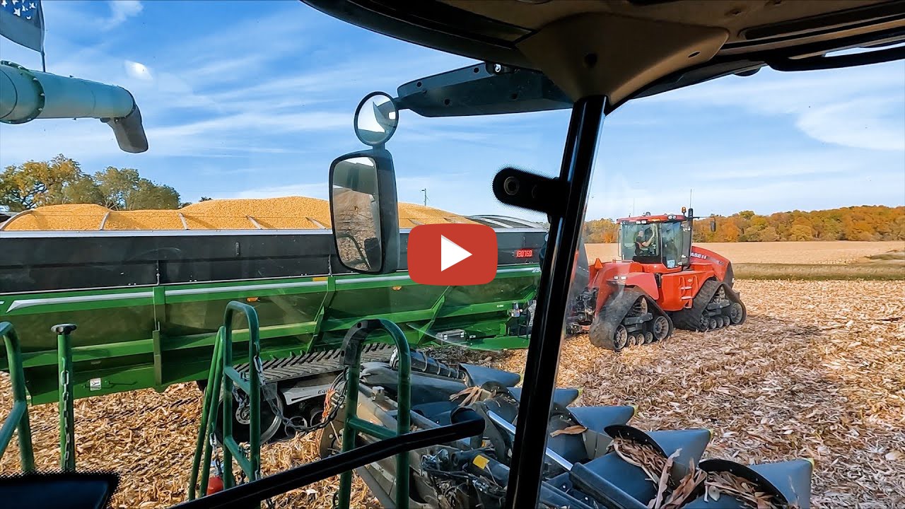 Just A Small Load Of Fools Gold! Corn harvest 2022.. Case ih and John ...